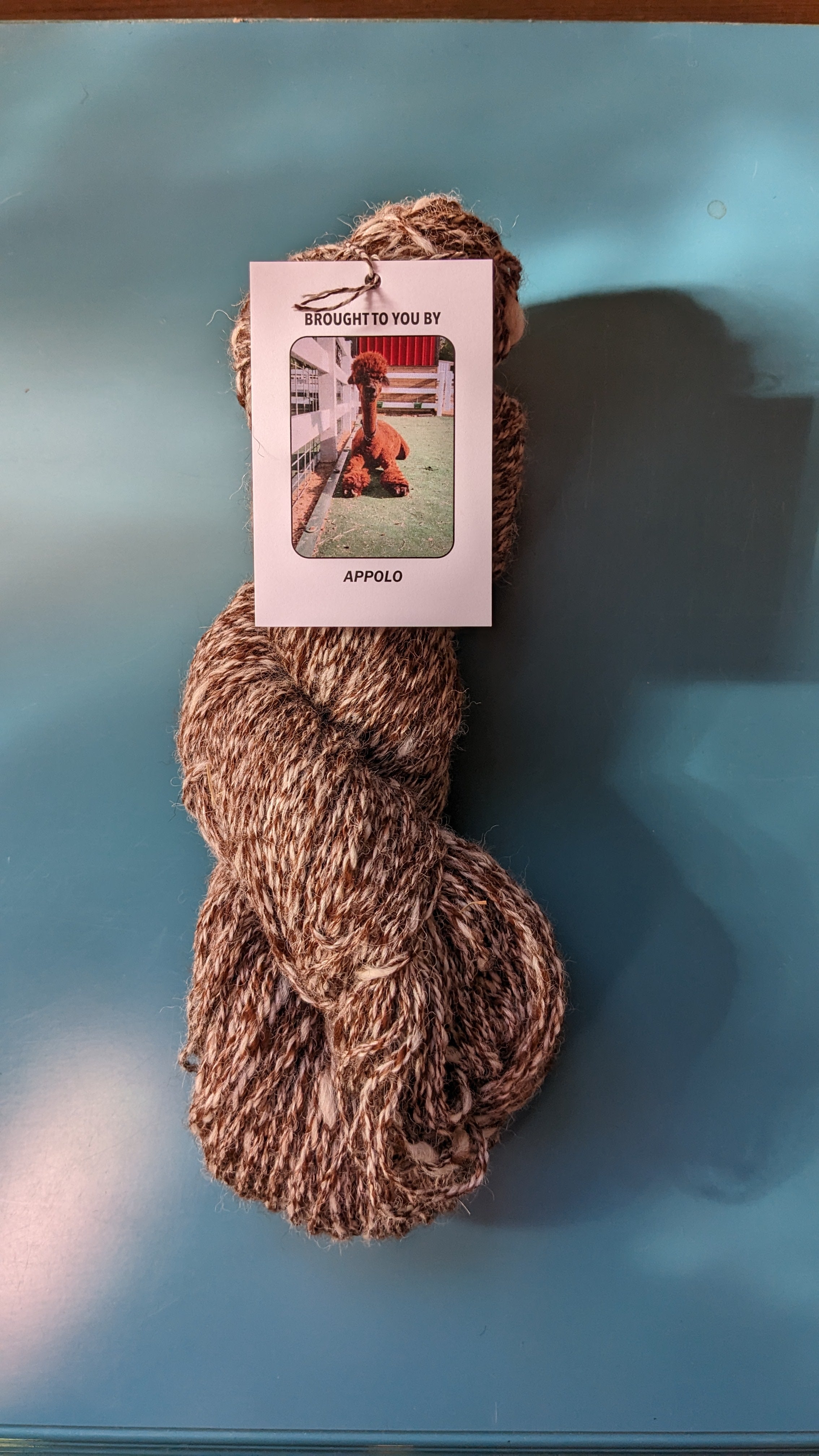 Appolo – All Things Sheared